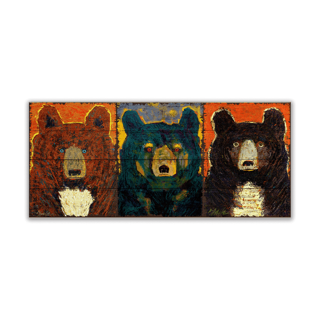 Bear Necessities: Colors of the Wild Triptych - Wood Plank Wall Art – Old Wood Signs