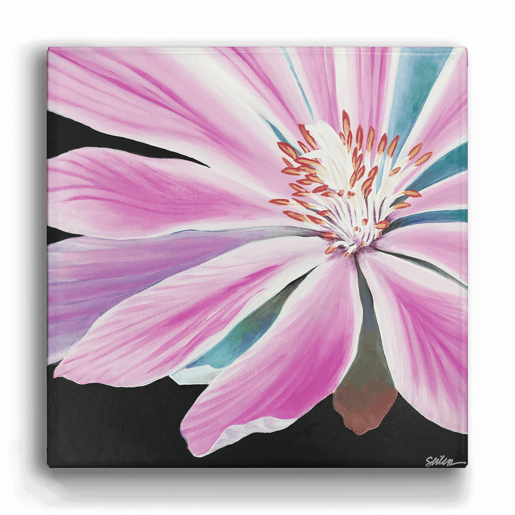 Blooming Bitterroot - Metal Box Art – Old Wood Signs