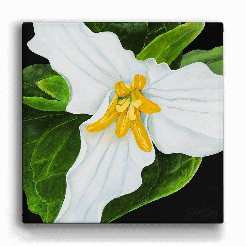 White Trillium- Metal Box Art – Old Wood Signs