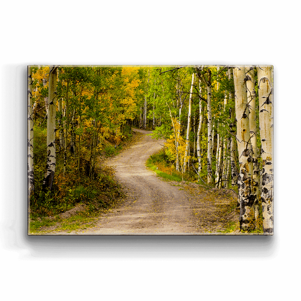 Path in the Aspens - Metal Box Art – Old Wood Signs