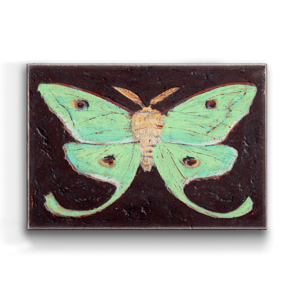 Luna Moth - Metal Box Art – Old Wood Signs