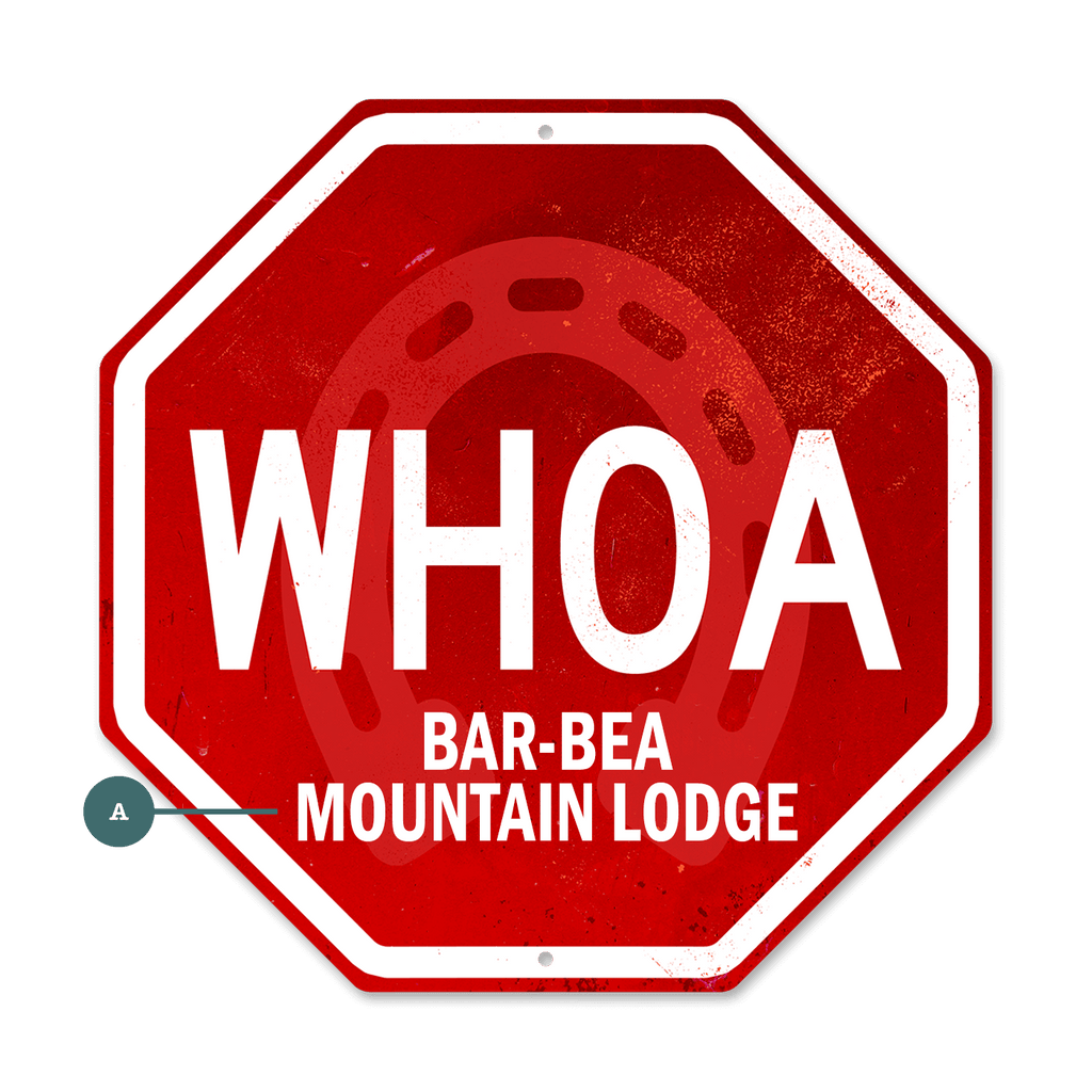 Whoa Stop Sign - Decorative Plaque – Old Wood Signs