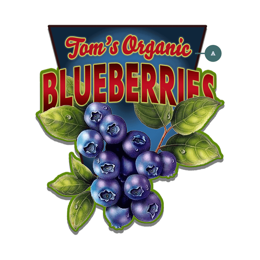 Garden Cutouts: Blueberries - Decorative Plaque – Old Wood Signs