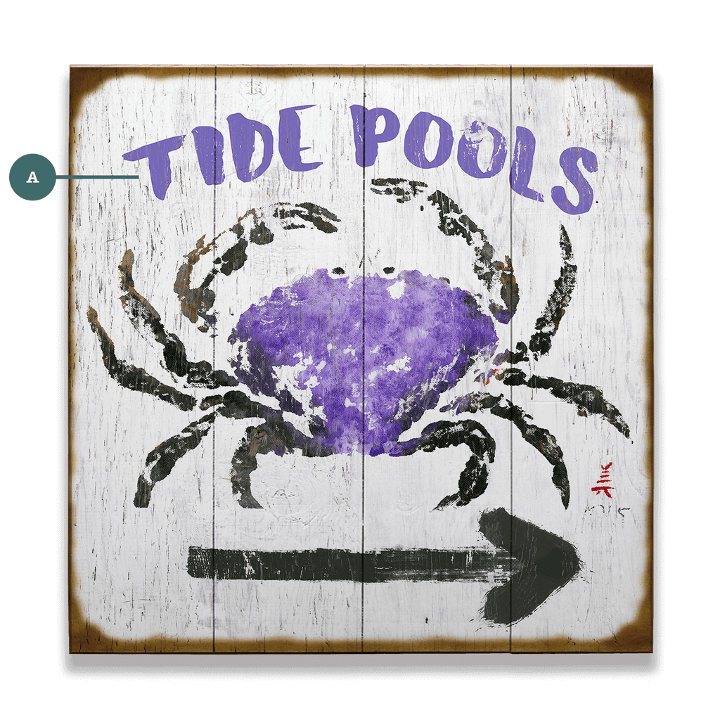 Tide Pools - Wood & Metal Wall Art – Old Wood Signs