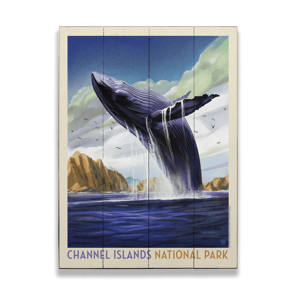 Channel Islands National Park: Breaching Whale - Wood & Metal Wall Art ...