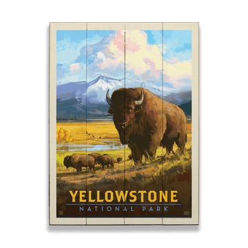 THE ANDERSON DESIGN GROUP COLLECTION – Old Wood Signs