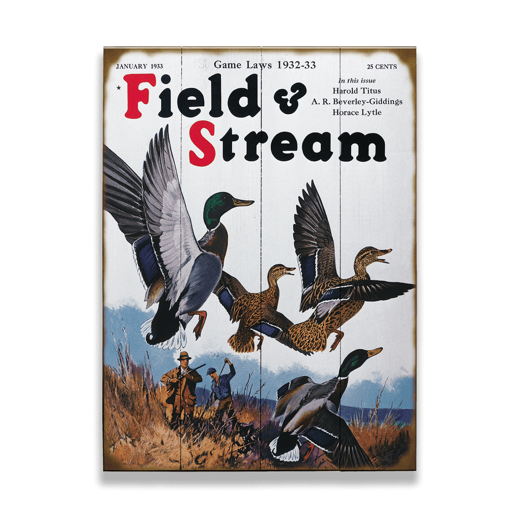 Field & Stream Cover January 1933 - Wood & Metal Wall Art – Old Wood Signs