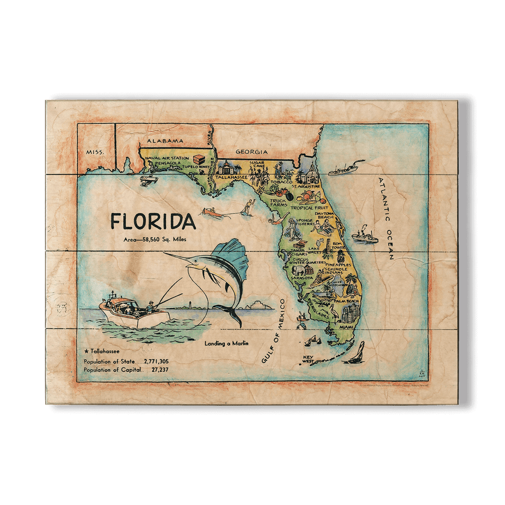 Vintage Kids Map of Florida - Wood & Metal Wall Art – Old Wood Signs