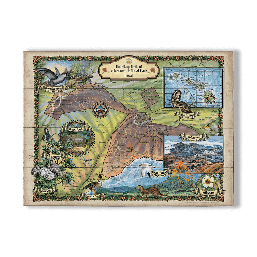 Hiking Trails of Volcanoes National Park - Wood & Metal Wall Art – Old ...