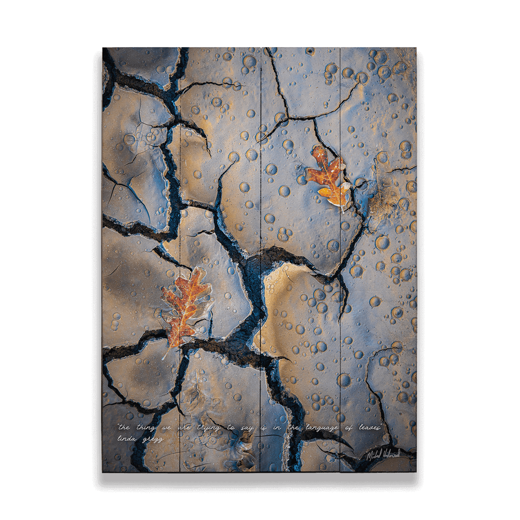 Autumn in Paria Canyon - Wood & Metal Wall Art – Old Wood Signs