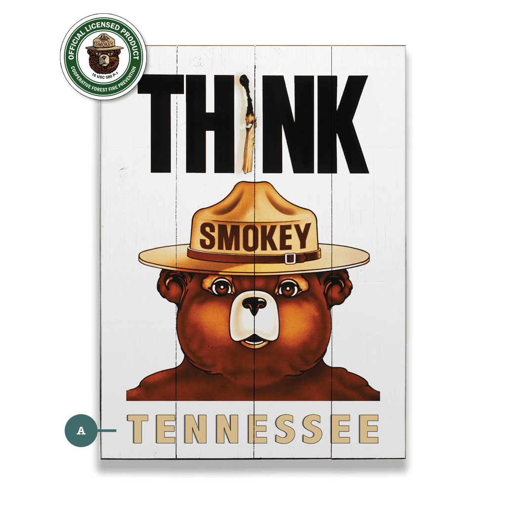 Smokey Bear 1974 Think Poster: Personalized - Wood & Metal Wall Art ...