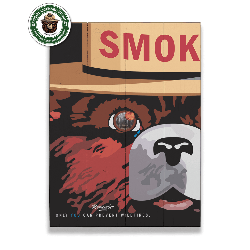 Smokey Bear 2007 Smokey Poster: Generic - Wood & Metal Wall Art – Old ...