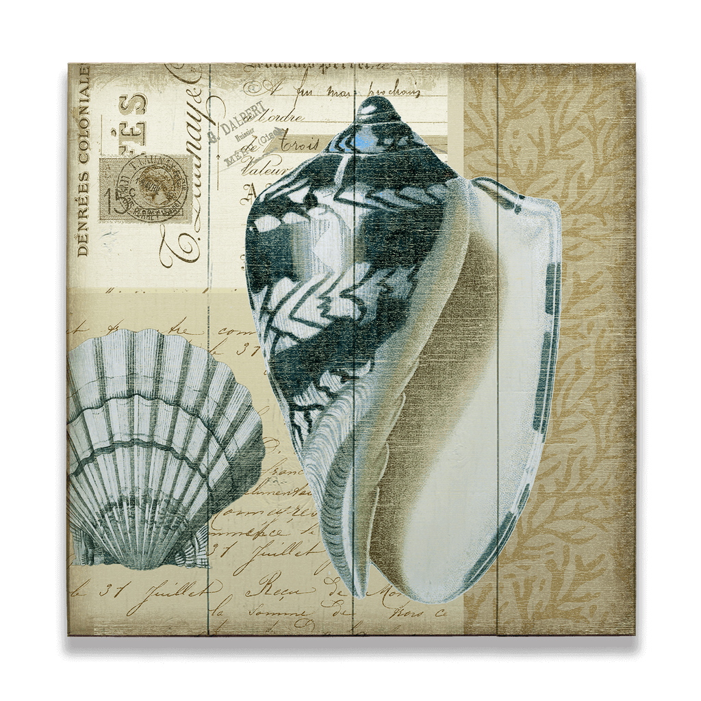 Indigo Shells: Scallop and Olive - Wood & Metal Wall Art – Old Wood Signs